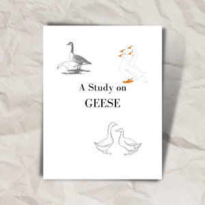 Goose Unit Study | Animal Study for Homeschool Curriculum | Education ...