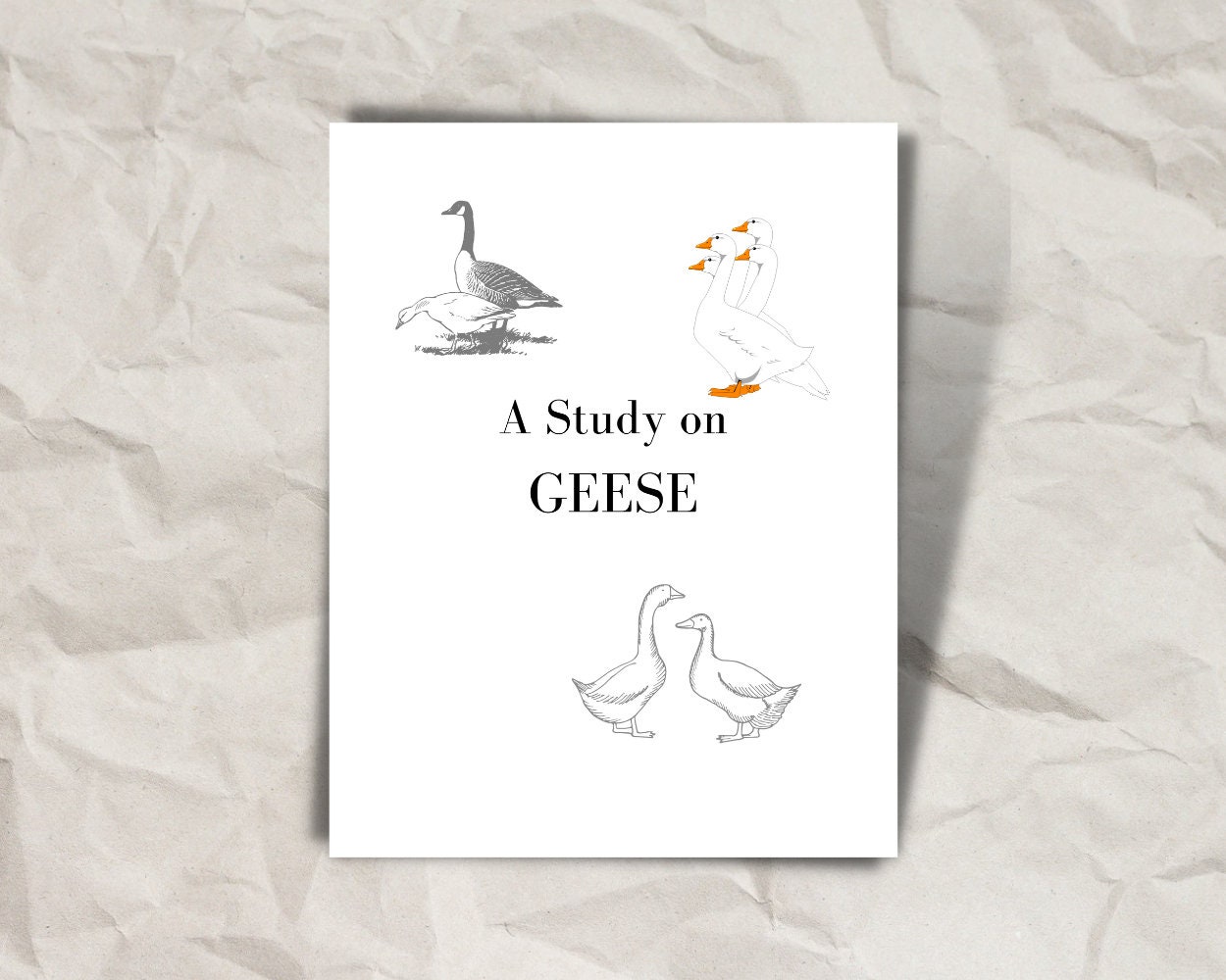 Goose Unit Study | Animal Study for Homeschool Curriculum | Education ...