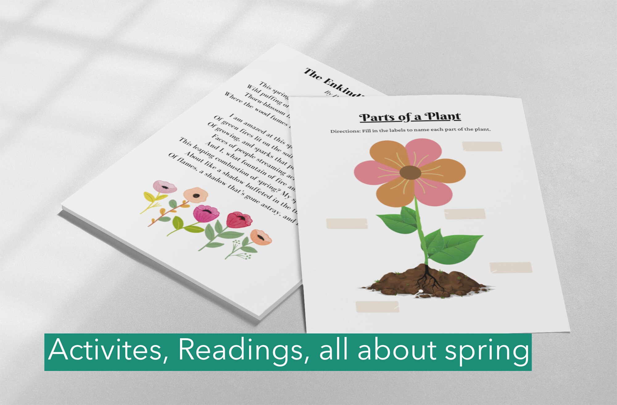 Spring Activity Printable Seasona Study Homeschool Worksheets - Nature ...