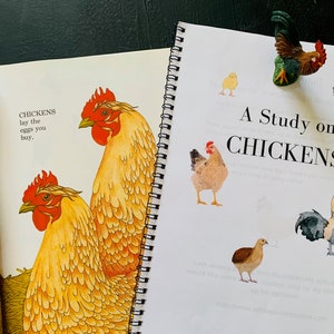 Chicken Study Printable Homeschool Worksheets Nature Study - Etsy