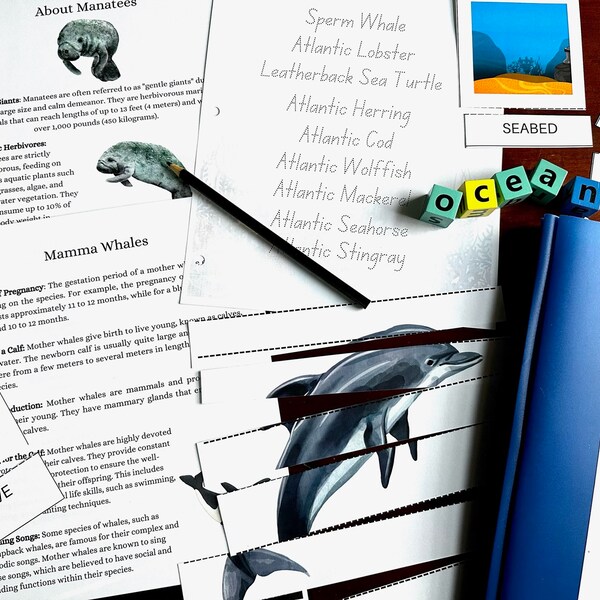 Homeschool Curriculum 1st Grade - Etsy