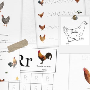 Chicken Study Printable Homeschool Worksheets Nature Study - Etsy
