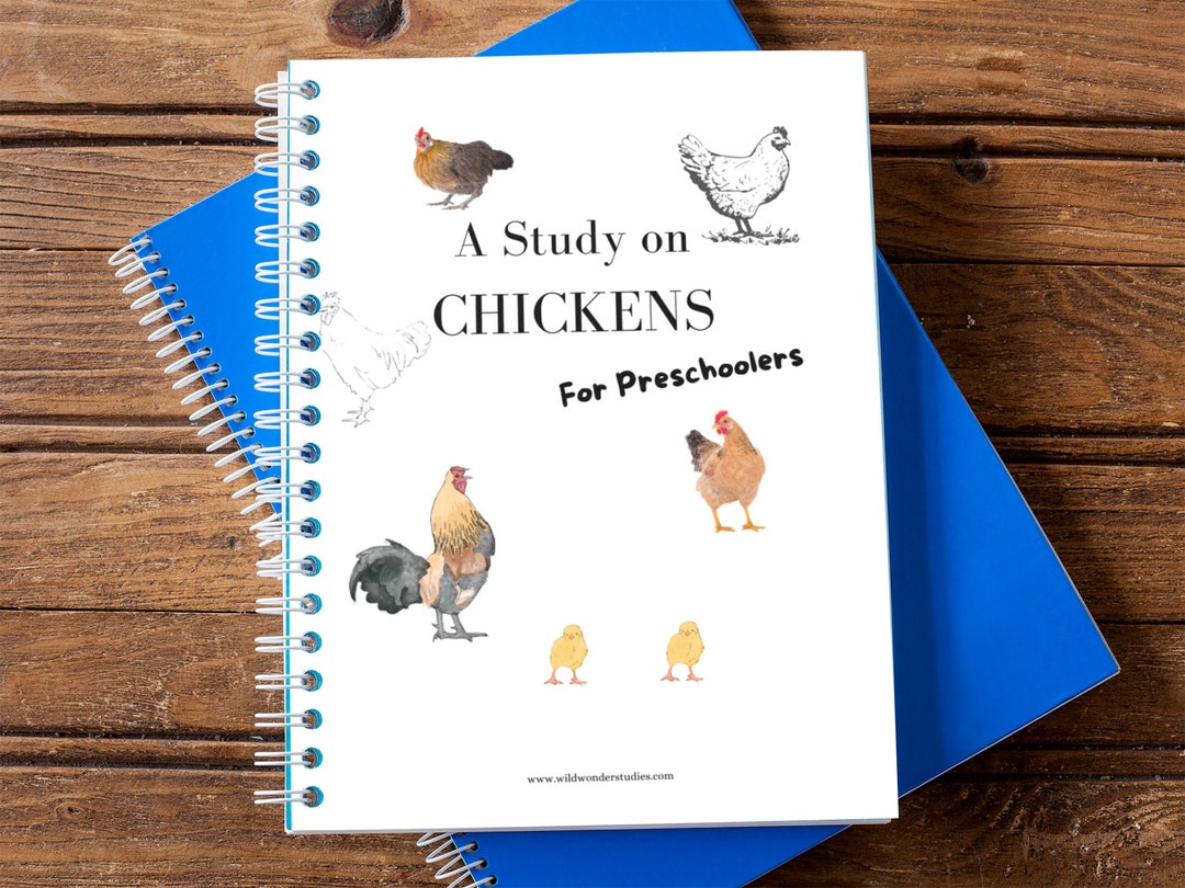 Printed Chicken Study - Printable for Preschool and Kindergarten ...