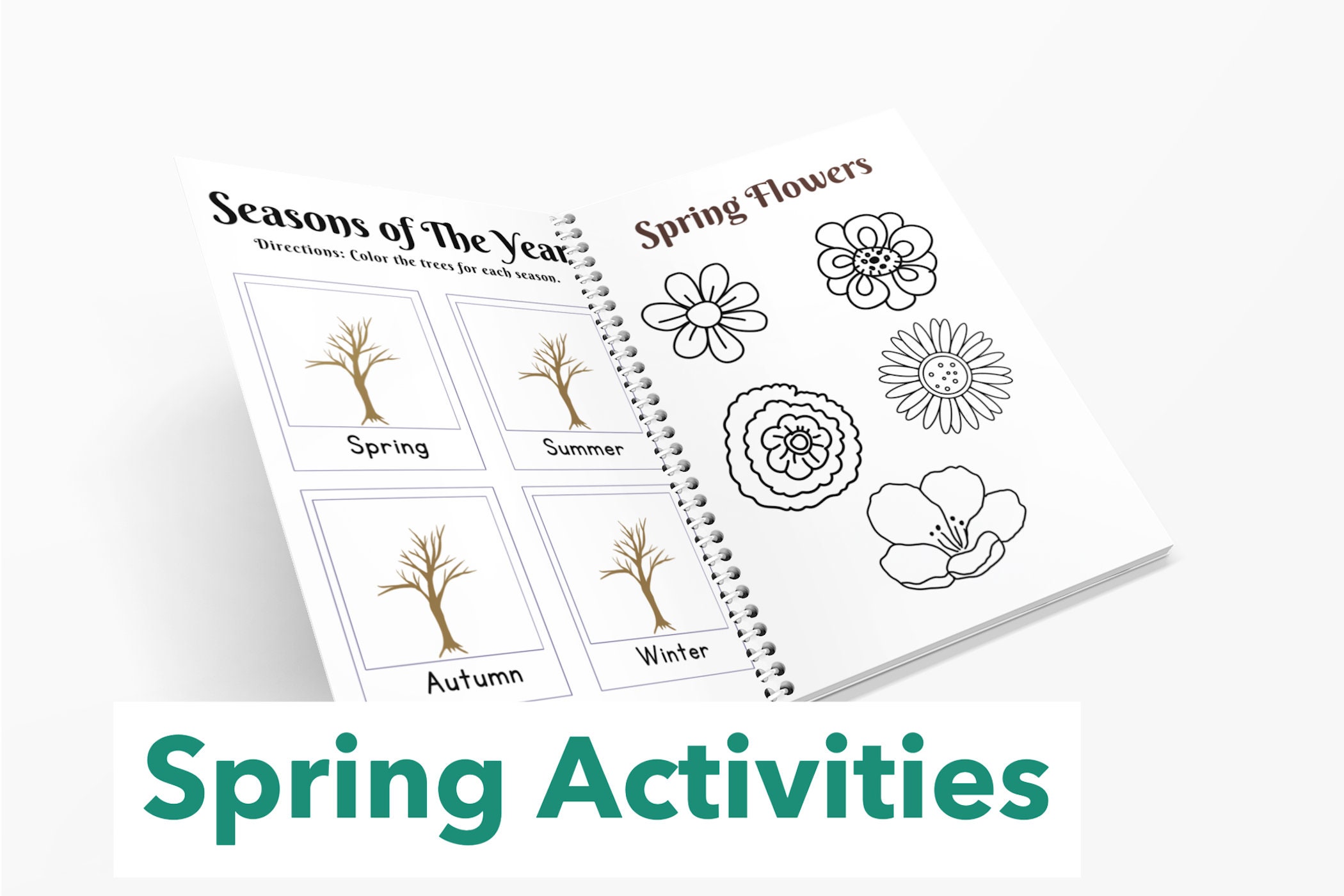 Spring Activity Printable Seasona Study Homeschool Worksheets - Nature ...
