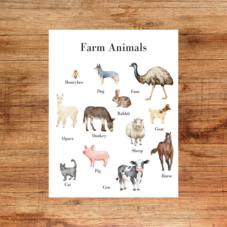 Animal Printable Poster Homeschool Learning Animal Posters - Etsy