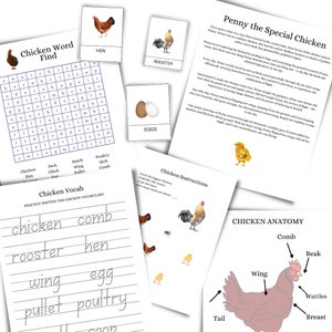 Chicken Study Printable Homeschool Worksheets Nature Study - Etsy