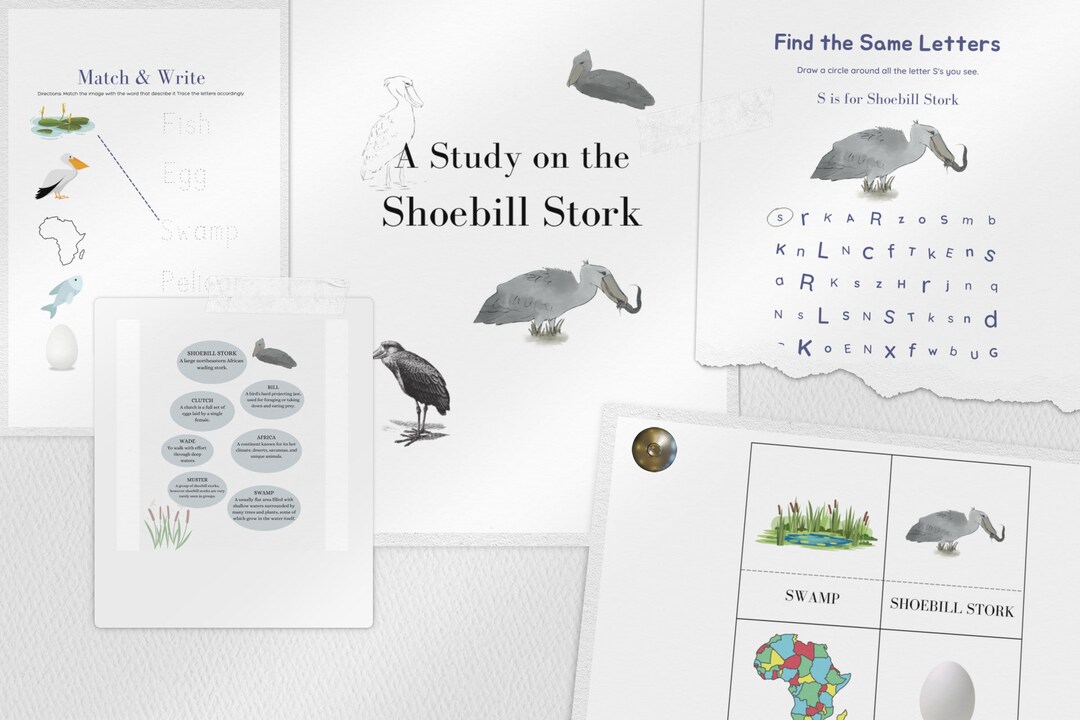 Shoebill Stork Study Printable - Homeschool Worksheets - Nature Study ...