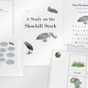 Shoebill Stork Study Printable - Homeschool Worksheets - Nature Study ...