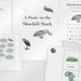 Shoebill Stork Study Printable - Homeschool Worksheets - Nature Study ...