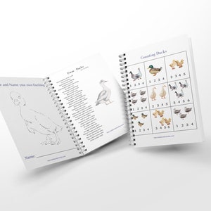 Printed Duck Study - Homeschool Worksheets - Nature Study Charlotte ...