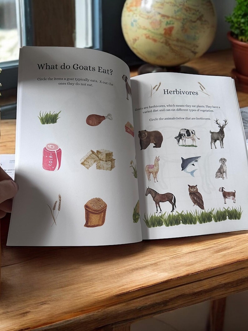 Goat Unit Study Homeschool Learning Book Science Nature Animals - Etsy