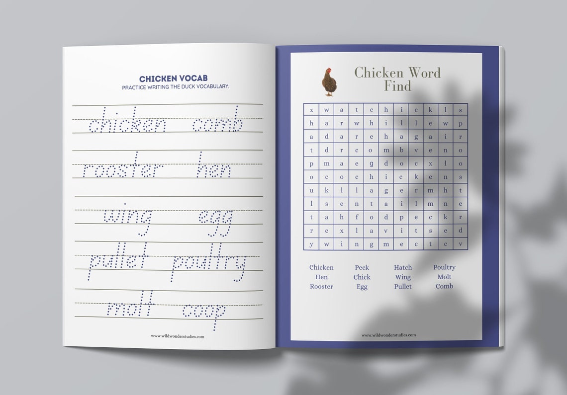 Chicken Study Printable Homeschool Worksheets Nature Study - Etsy
