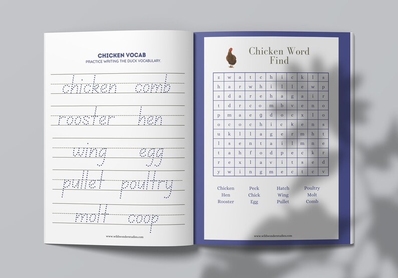 Chicken Study Printable Homeschool Worksheets Nature Study - Etsy