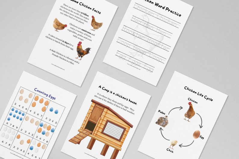 Printed Chicken Study - Printable for Preschool and Kindergarten ...