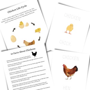 Chicken Study Printable Homeschool Worksheets Nature Study - Etsy