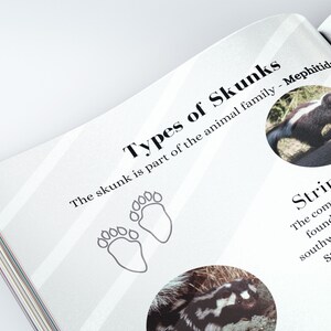 Skunk Animal Study Charlotte Mason Inspired Nature Printable Weird ...