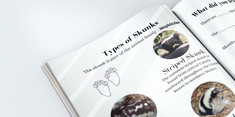 Skunk Animal Study Charlotte Mason Inspired Nature Printable Weird ...