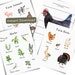 Farm Unit Study Printable - Homeschool Digital Resource - Chicken Study ...