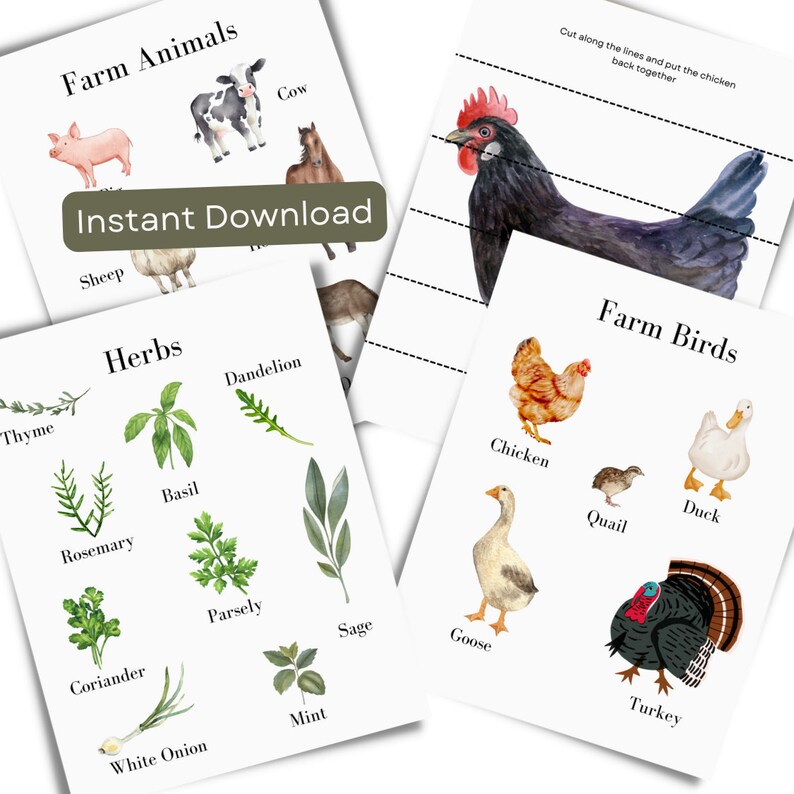 Farm Unit Study Printable - Homeschool Digital Resource - Chicken Study ...