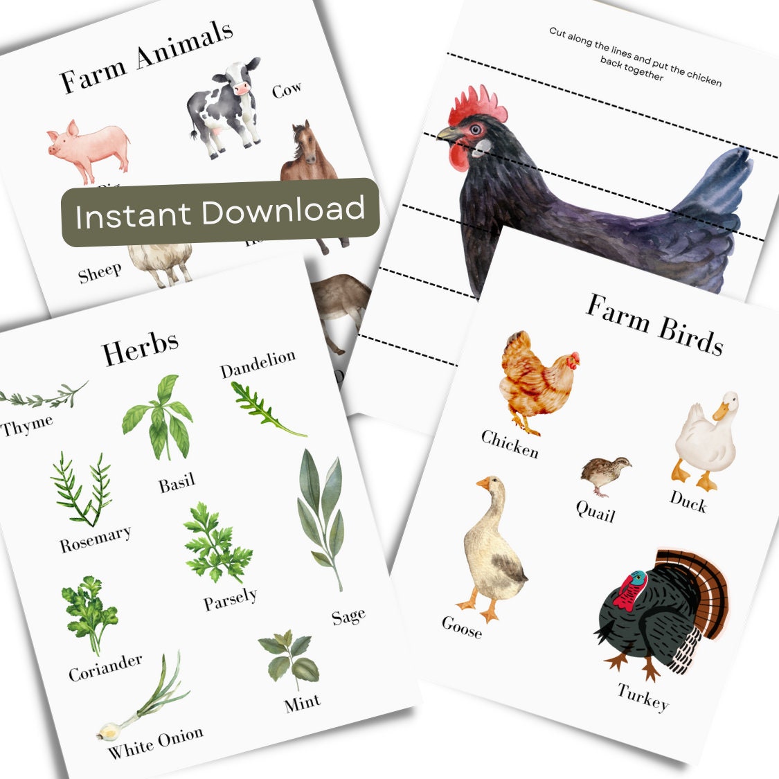 Farm Unit Study Printable - Homeschool Digital Resource - Chicken Study ...
