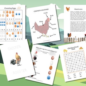 Chicken Study Printable - Homeschool Worksheets - Nature Study ...