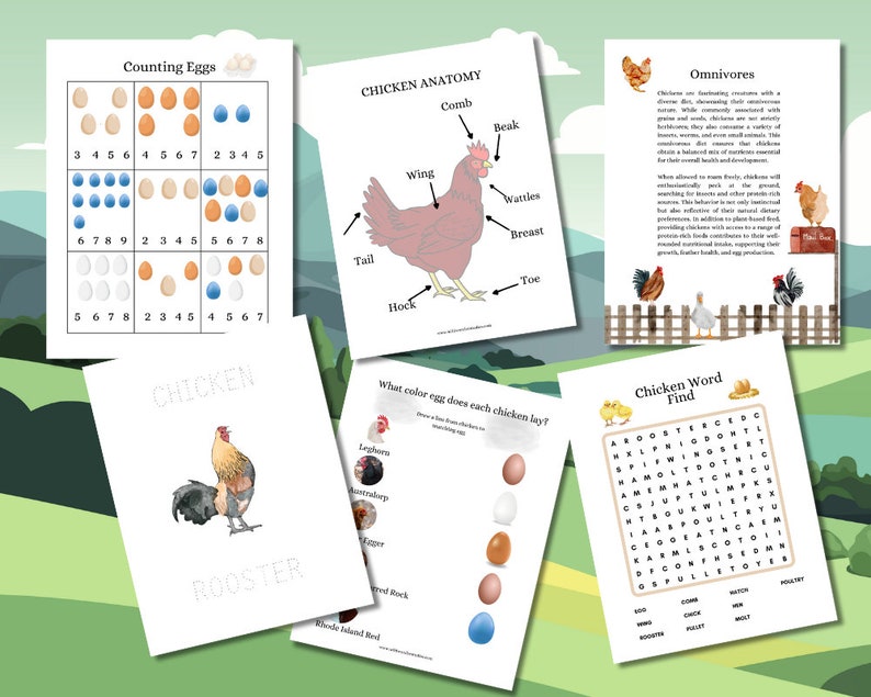 Chicken Study Printable - Homeschool Worksheets - Nature Study ...