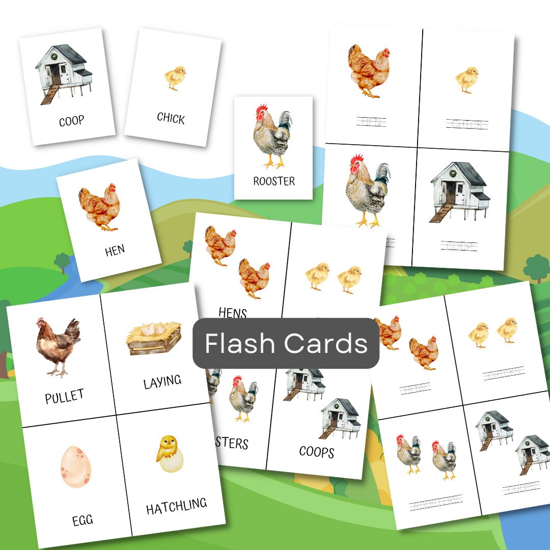 Life Cycle Chicken Unit Study Flash Cards Learning Chicks Science Study ...