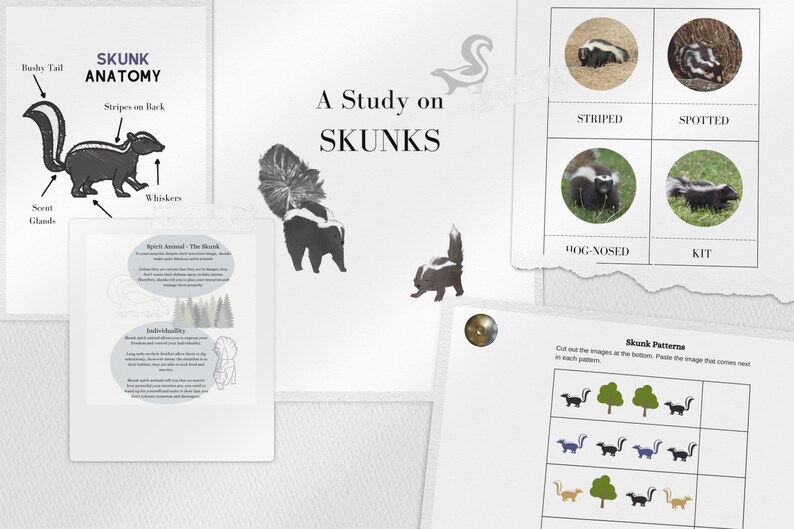 Skunk Animal Study Charlotte Mason Inspired Nature Printable Weird ...