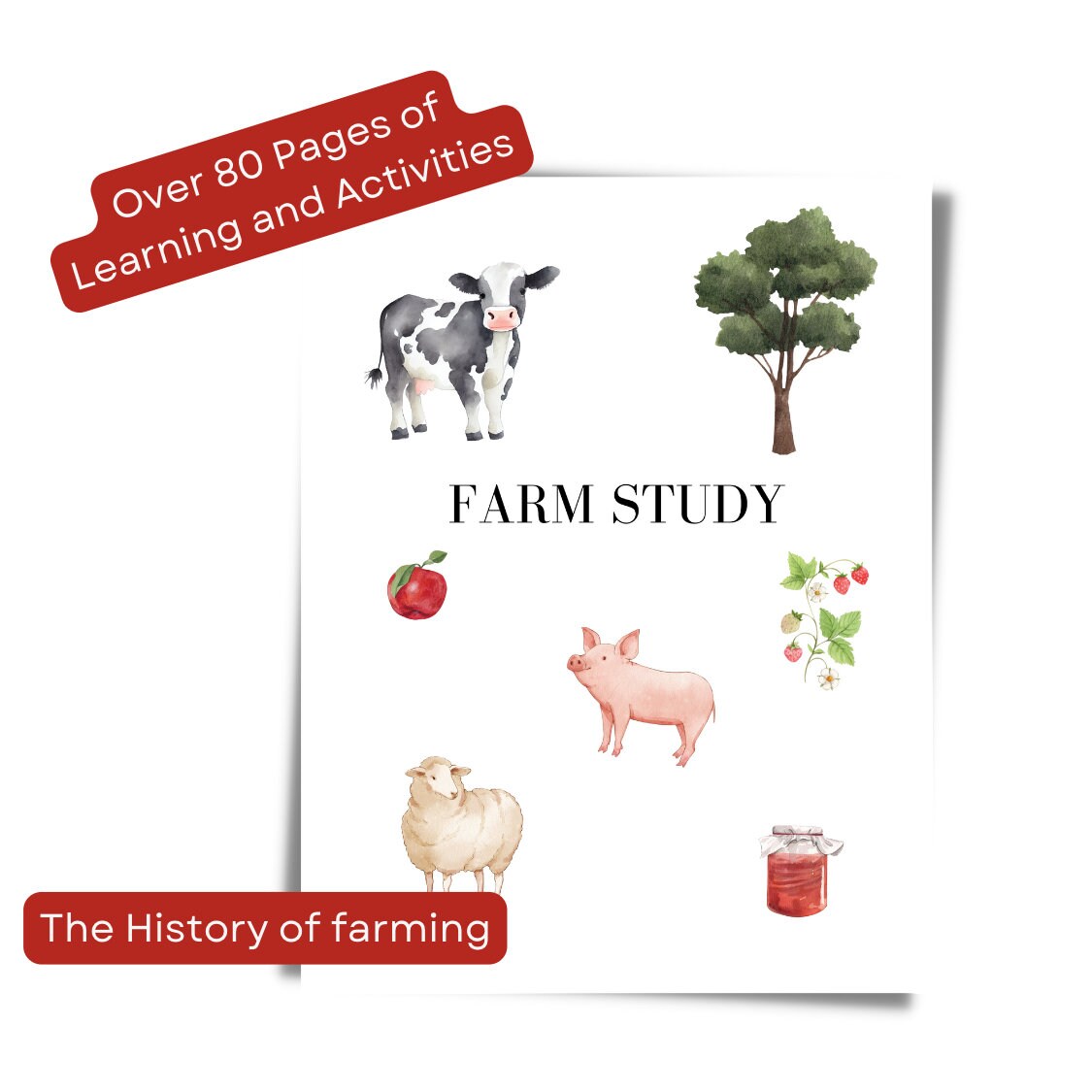 Farm Unit Study Printable - Homeschool Digital Resource - Chicken Study ...