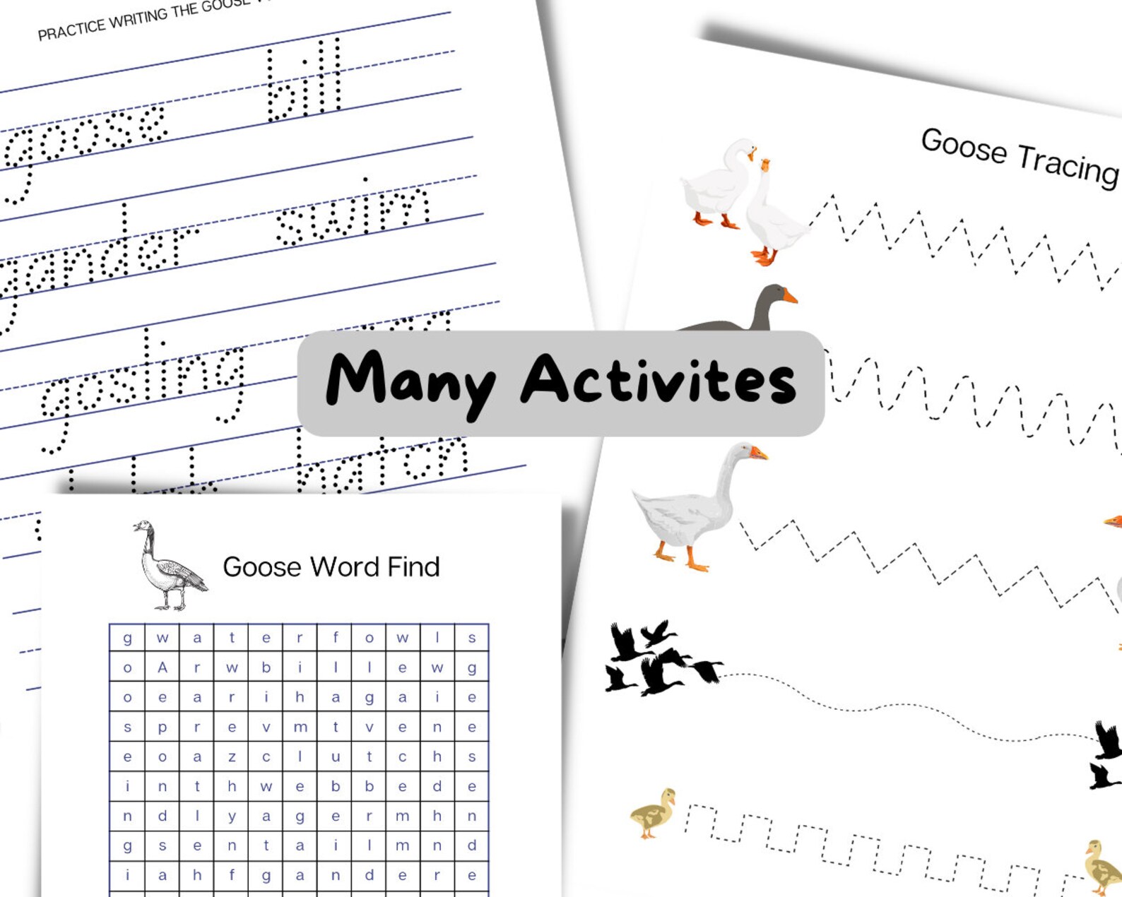 Goose Unit Study | Animal Study for Homeschool Curriculum | Education ...