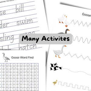 Goose Unit Study | Animal Study for Homeschool Curriculum | Education ...