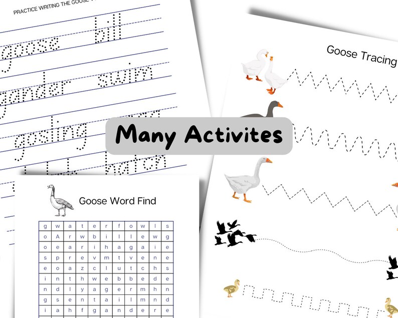 Goose Unit Study | Animal Study for Homeschool Curriculum | Education ...