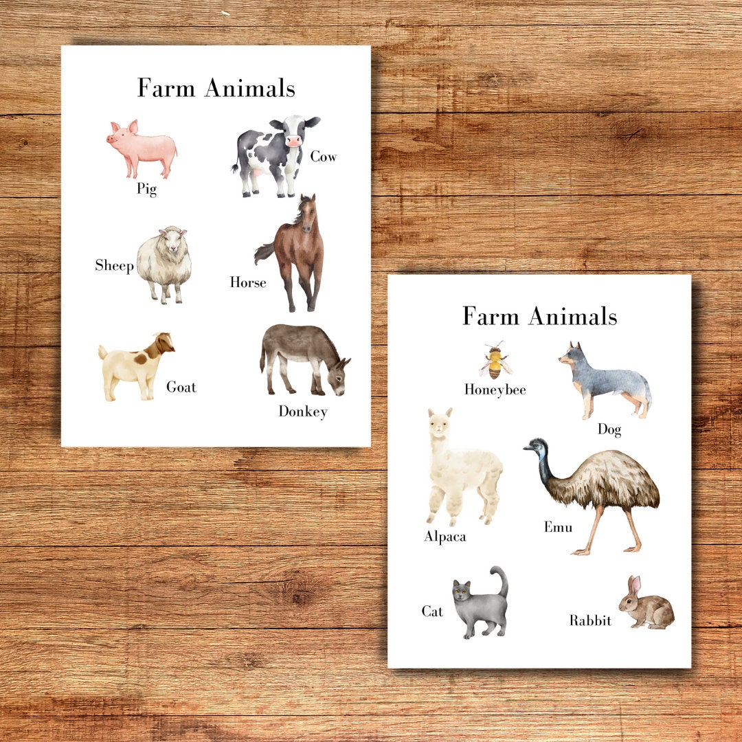 Animal Printable Poster Homeschool Learning Animal Posters - Etsy