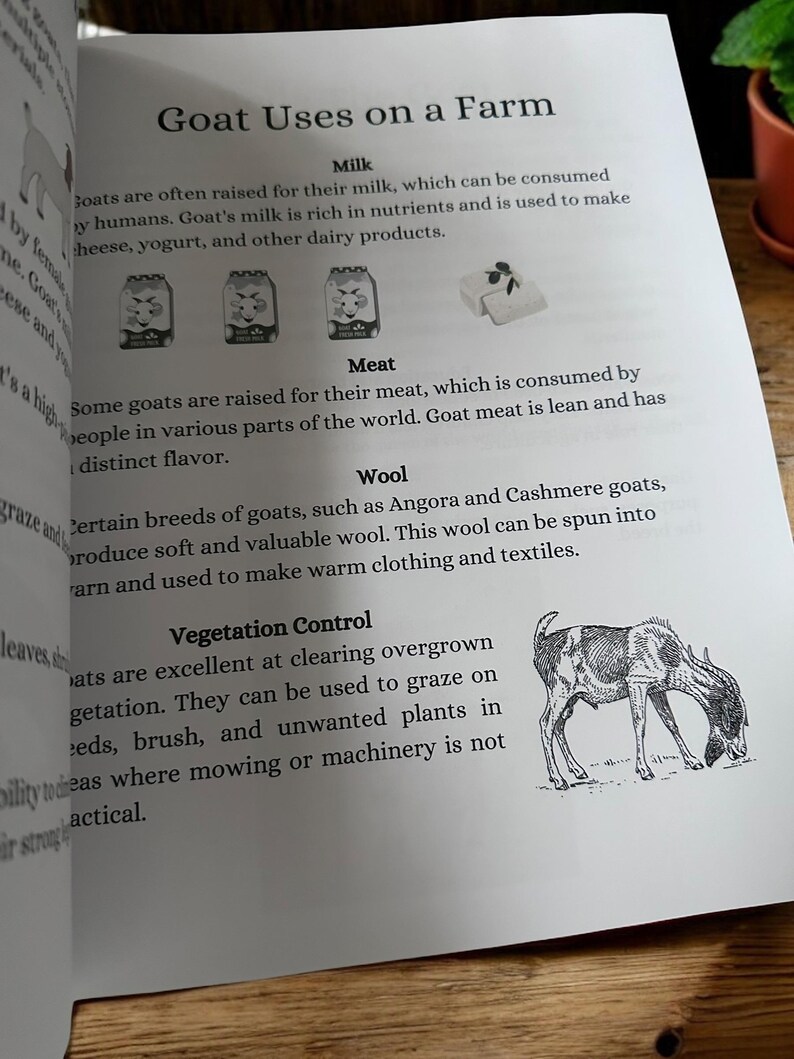 Goat Unit Study Homeschool Learning Book Science Nature Animals - Etsy