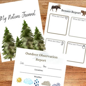 Charlotte Mason Inspired Homeschool Learning Nature - Etsy