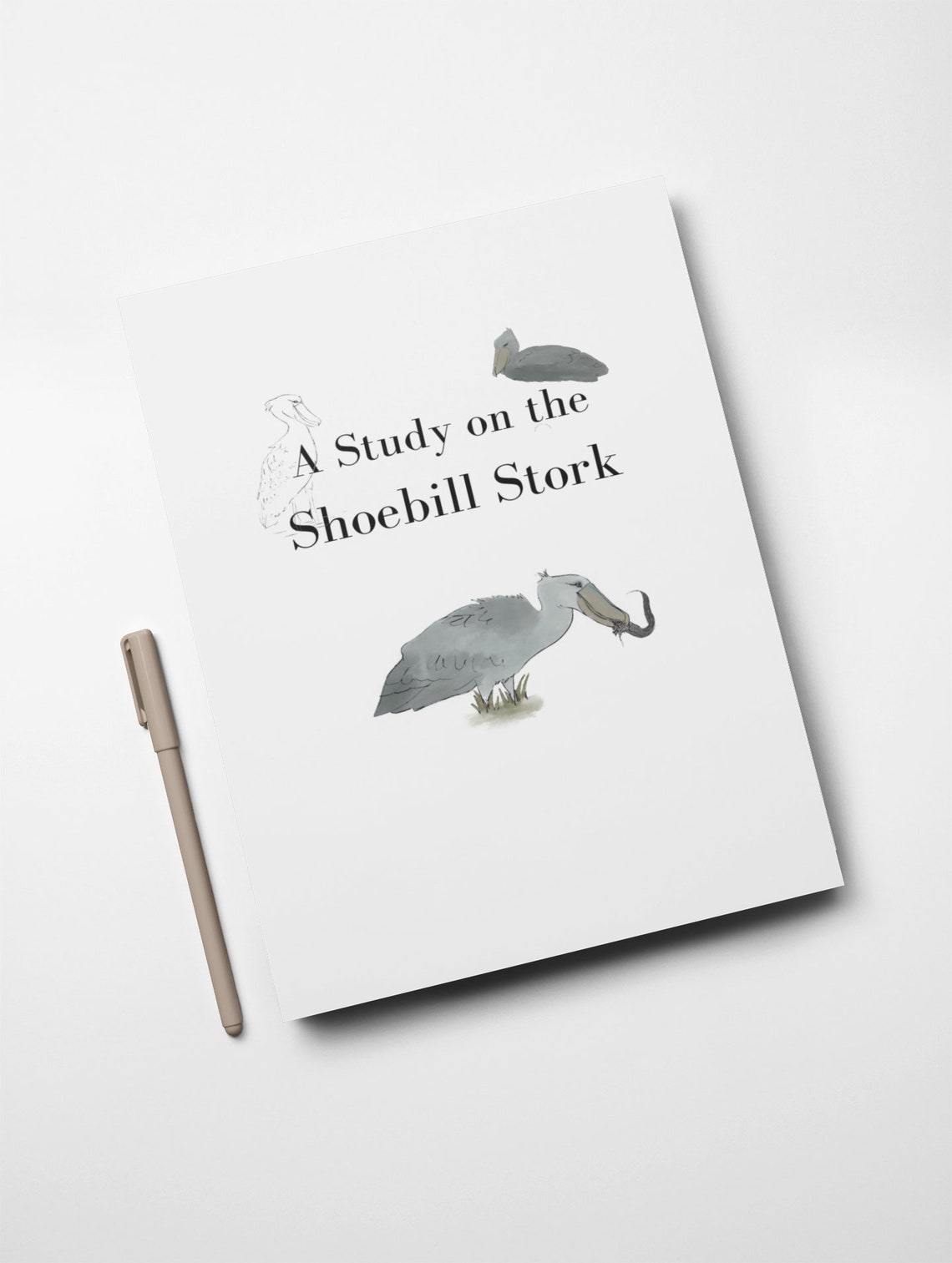 Shoebill Stork Study Printable - Homeschool Worksheets - Nature Study ...