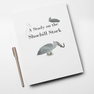 Shoebill Stork Study Printable - Homeschool Worksheets - Nature Study ...