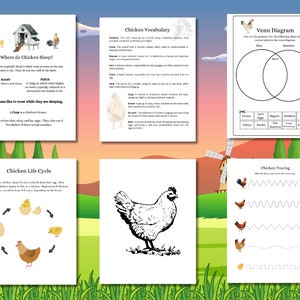 Chicken Study Printable - Homeschool Worksheets - Nature Study ...