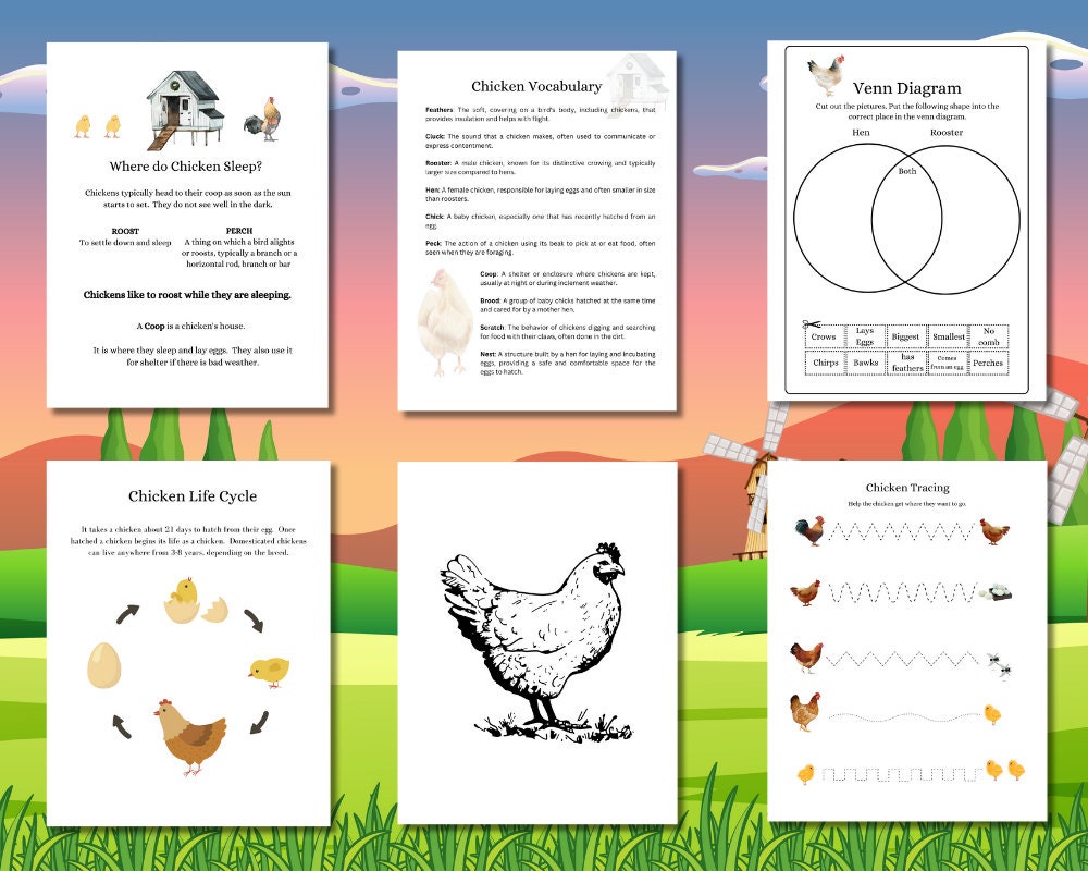 Chicken Study Printable - Homeschool Worksheets - Nature Study ...