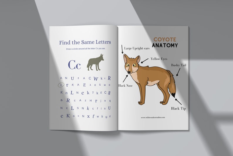 Animal Study Coyote Charlotte Mason | Homeschool Educational Worksheet ...