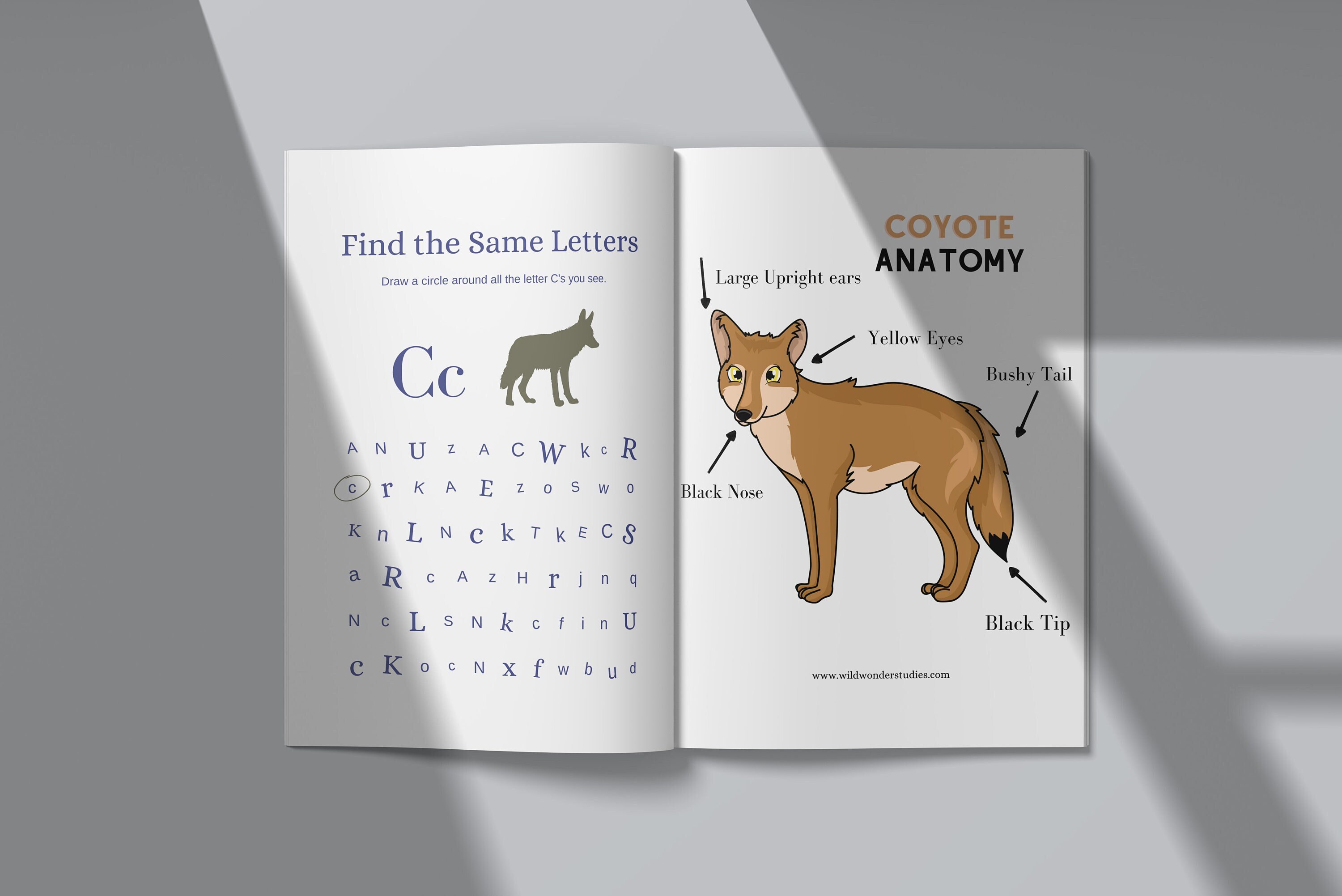 Animal Study Coyote Charlotte Mason | Homeschool Educational Worksheet ...