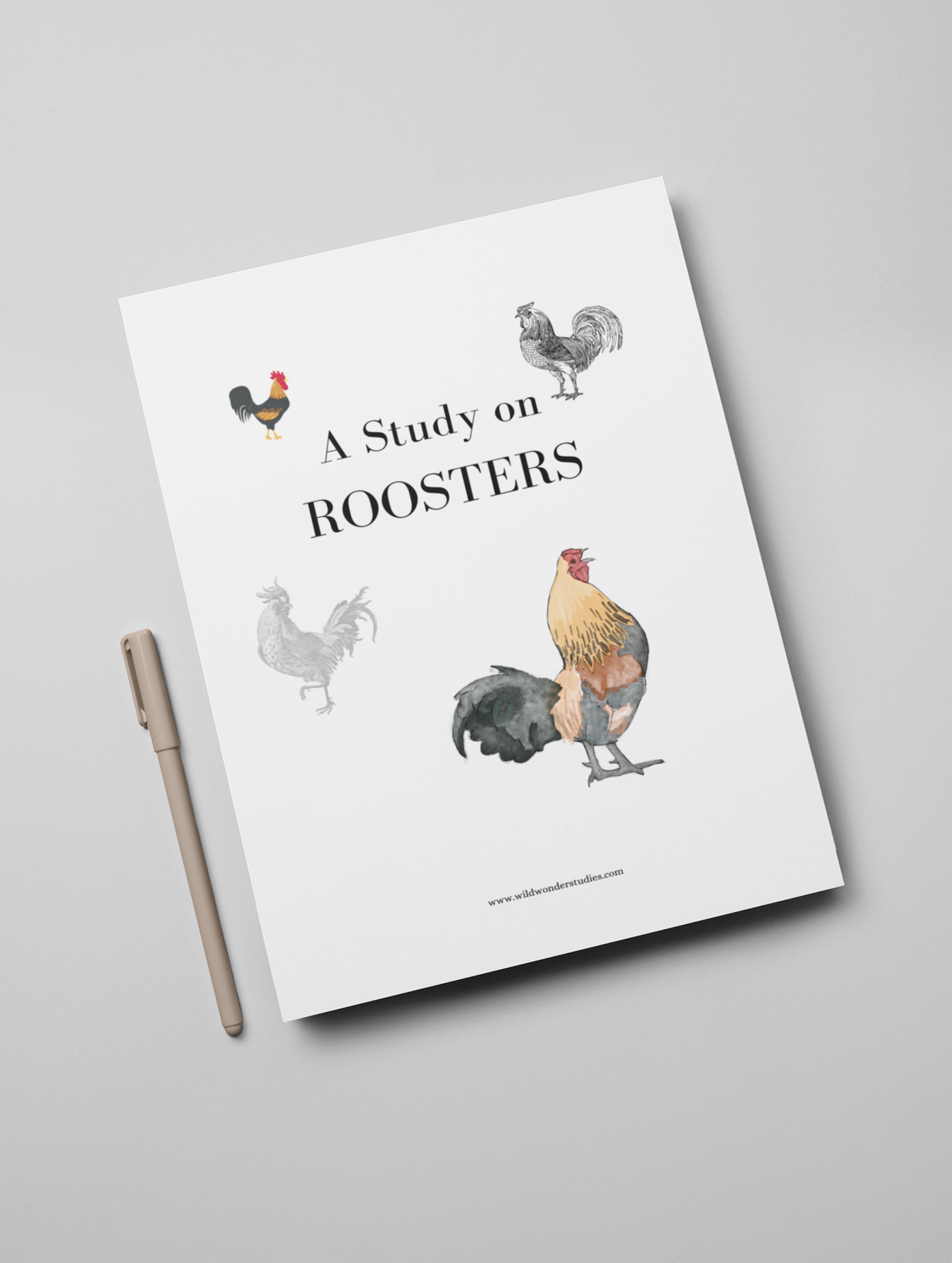 Rooster Chicken Study Printable - Homeschool Worksheets - Nature Study ...