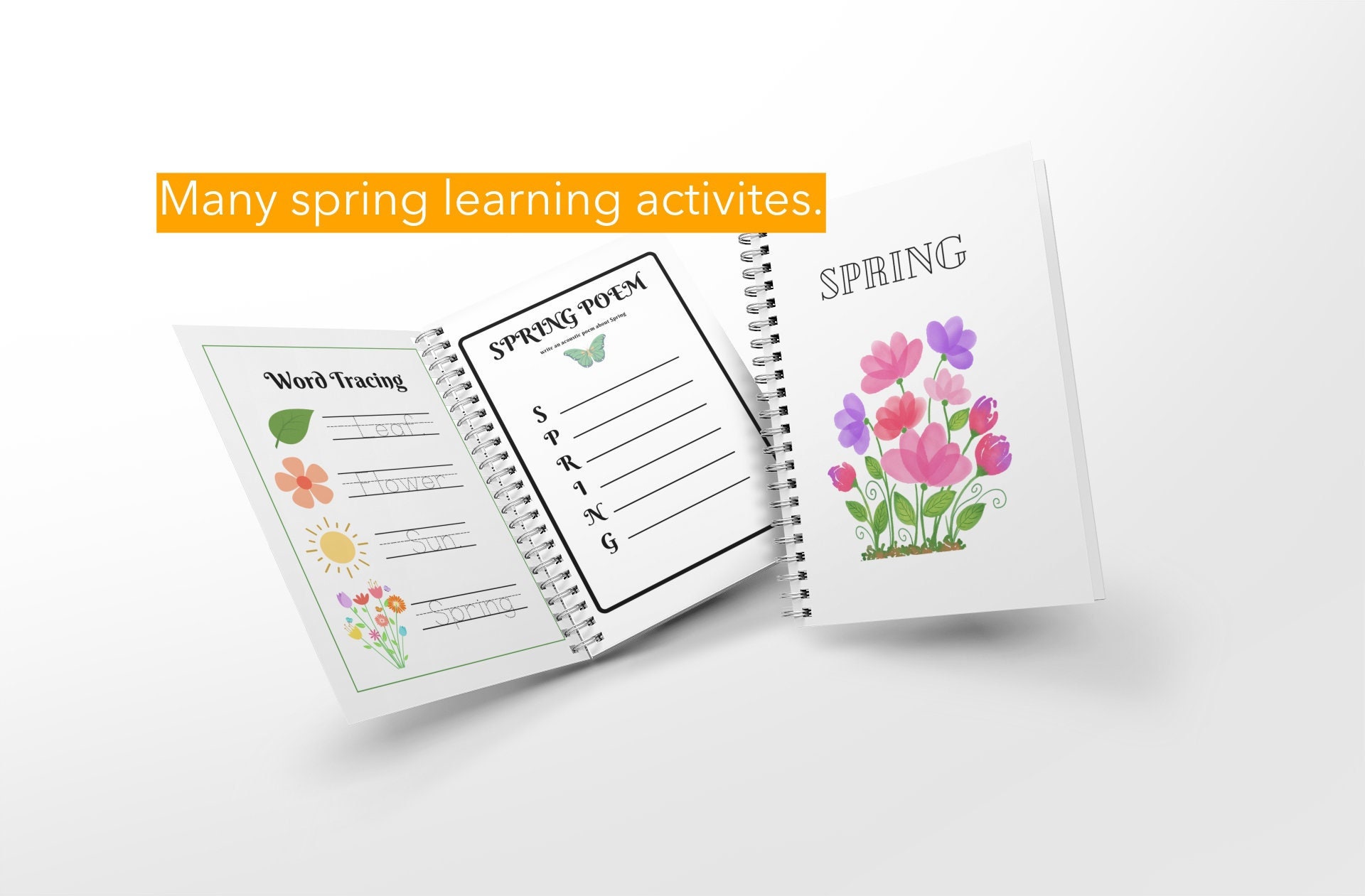 Spring Activity Printable Seasona Study Homeschool Worksheets - Nature ...