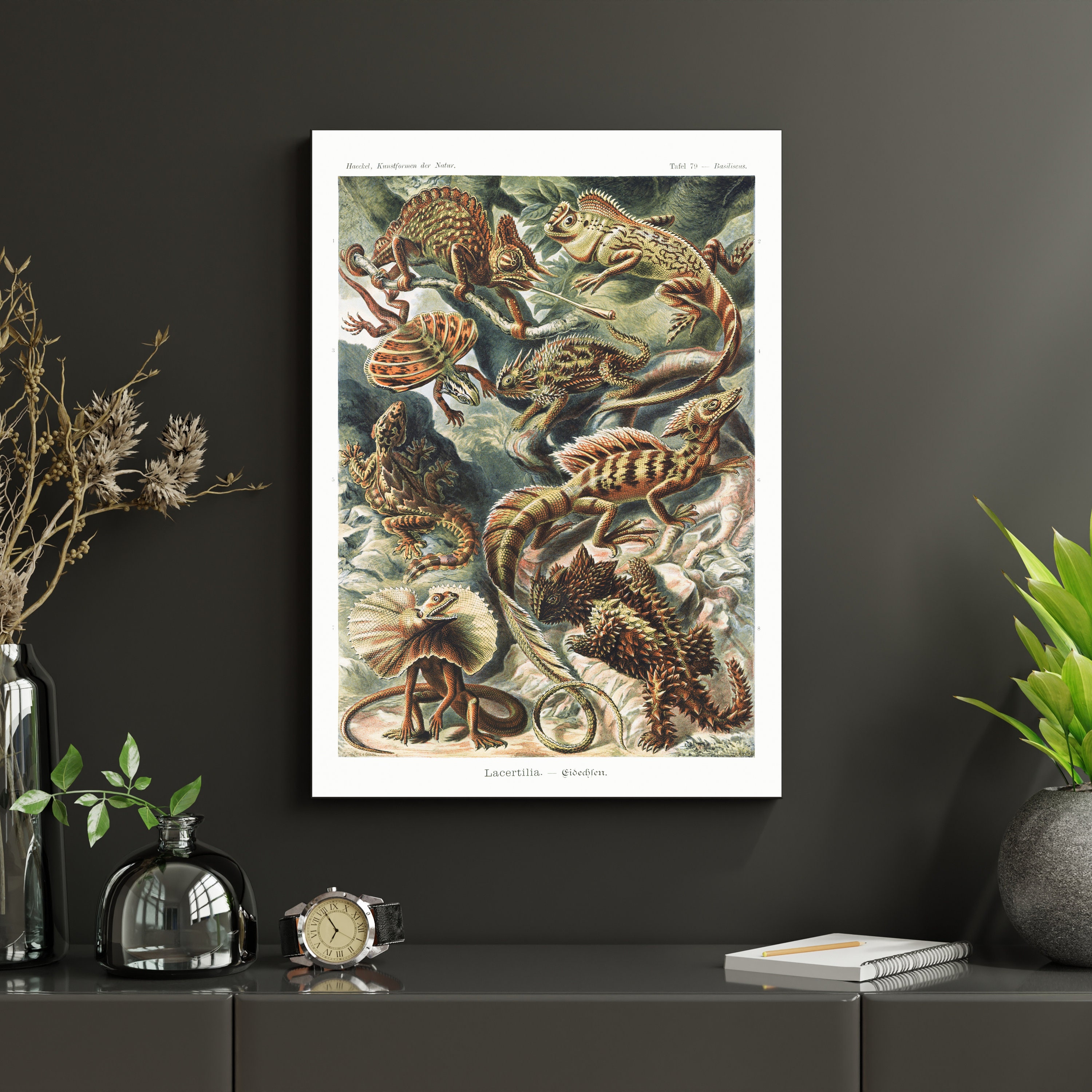 Set of 1, 2 or 3 Vintage Animal Prints, Vintage Animal Prints, Safari ...