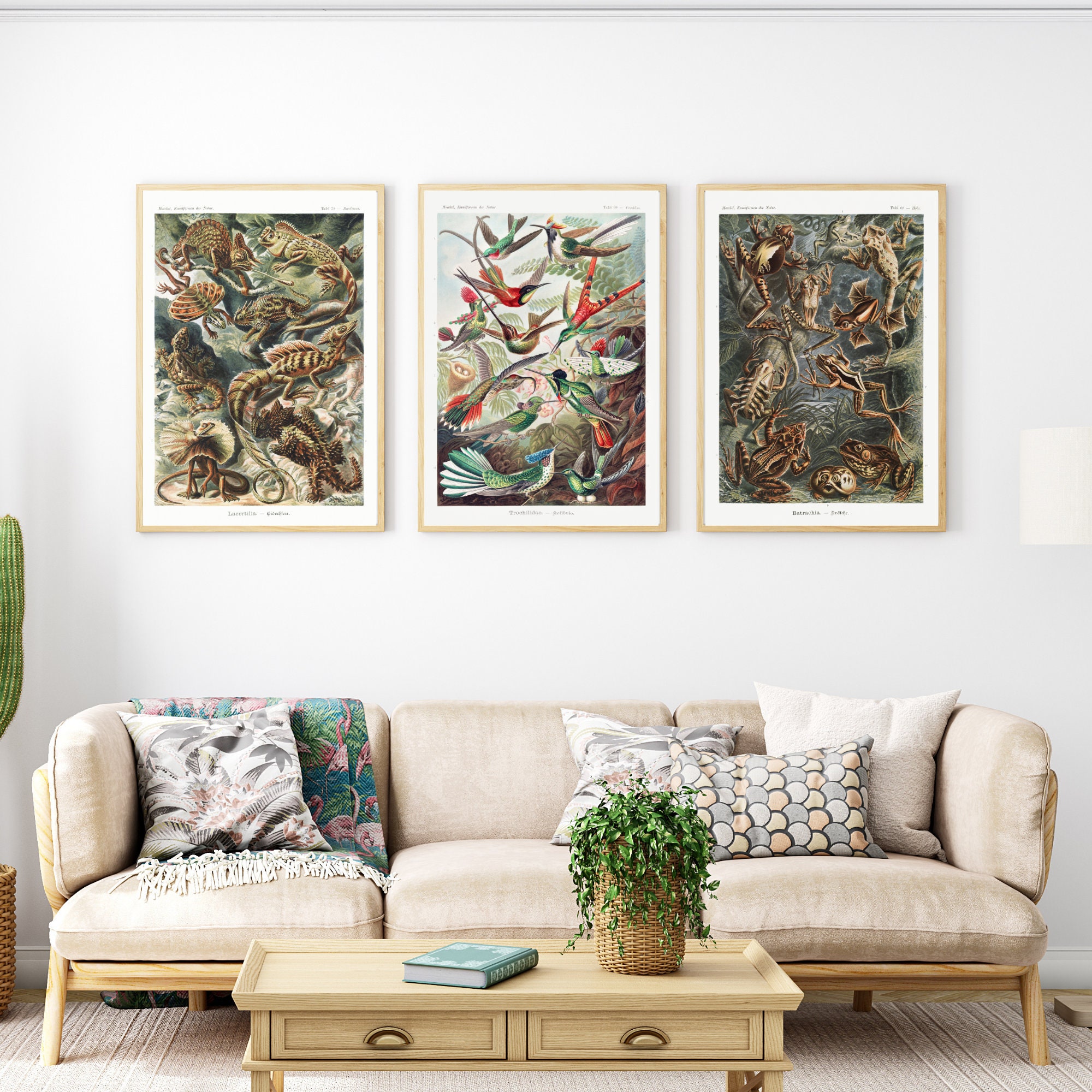 Set of 1, 2 or 3 Vintage Animal Prints, Vintage Animal Prints, Safari ...