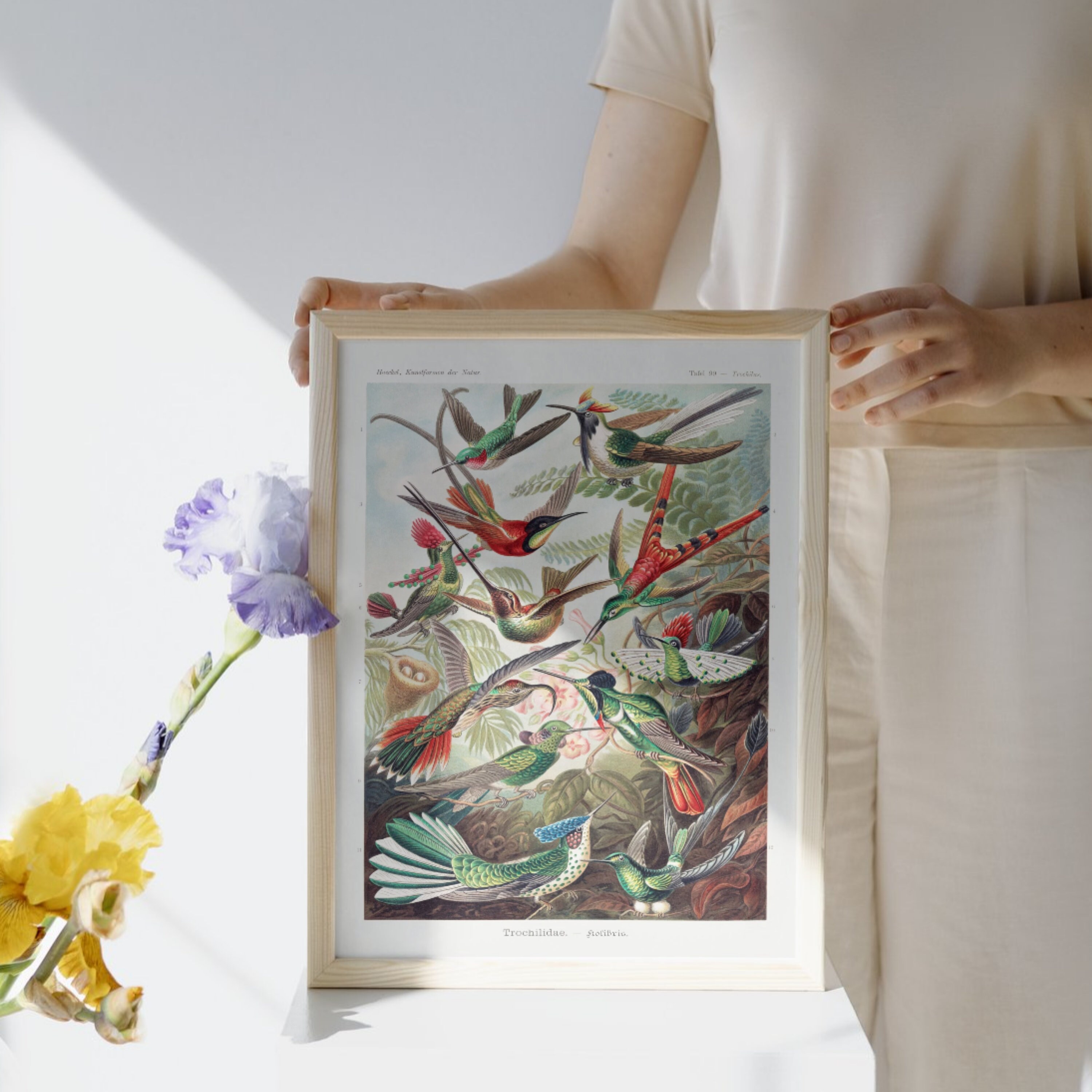 Set of 1, 2 or 3 Vintage Animal Prints, Vintage Animal Prints, Safari ...