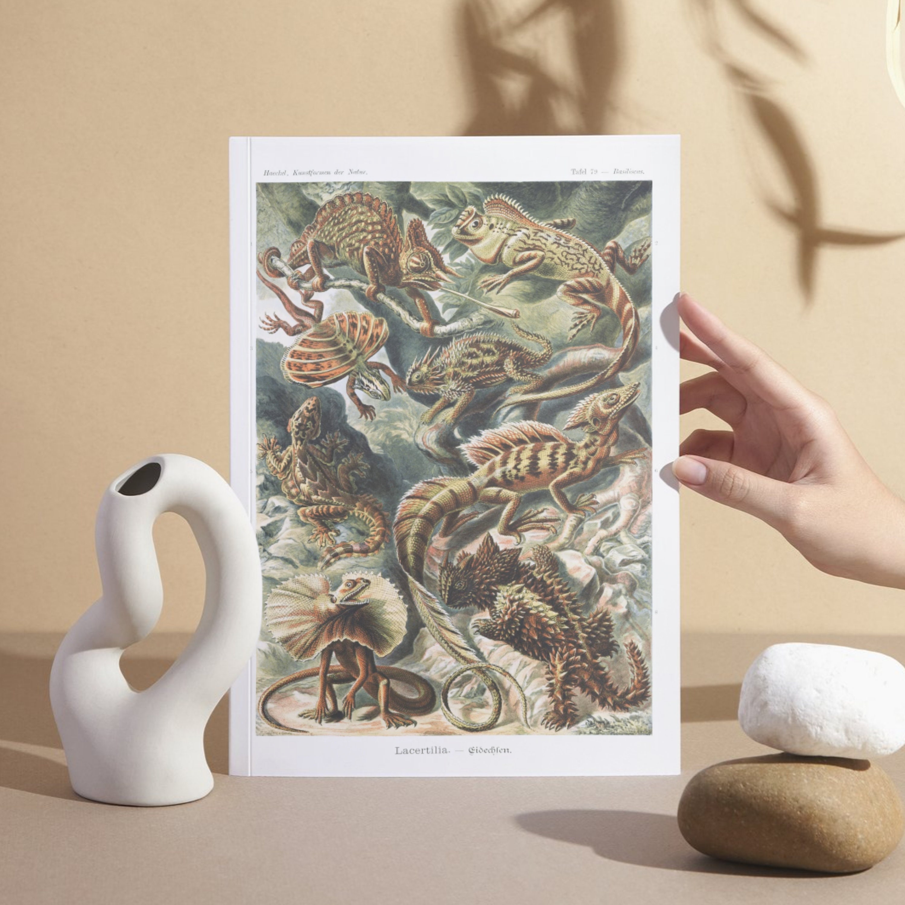 Set of 1, 2 or 3 Vintage Animal Prints, Vintage Animal Prints, Safari ...