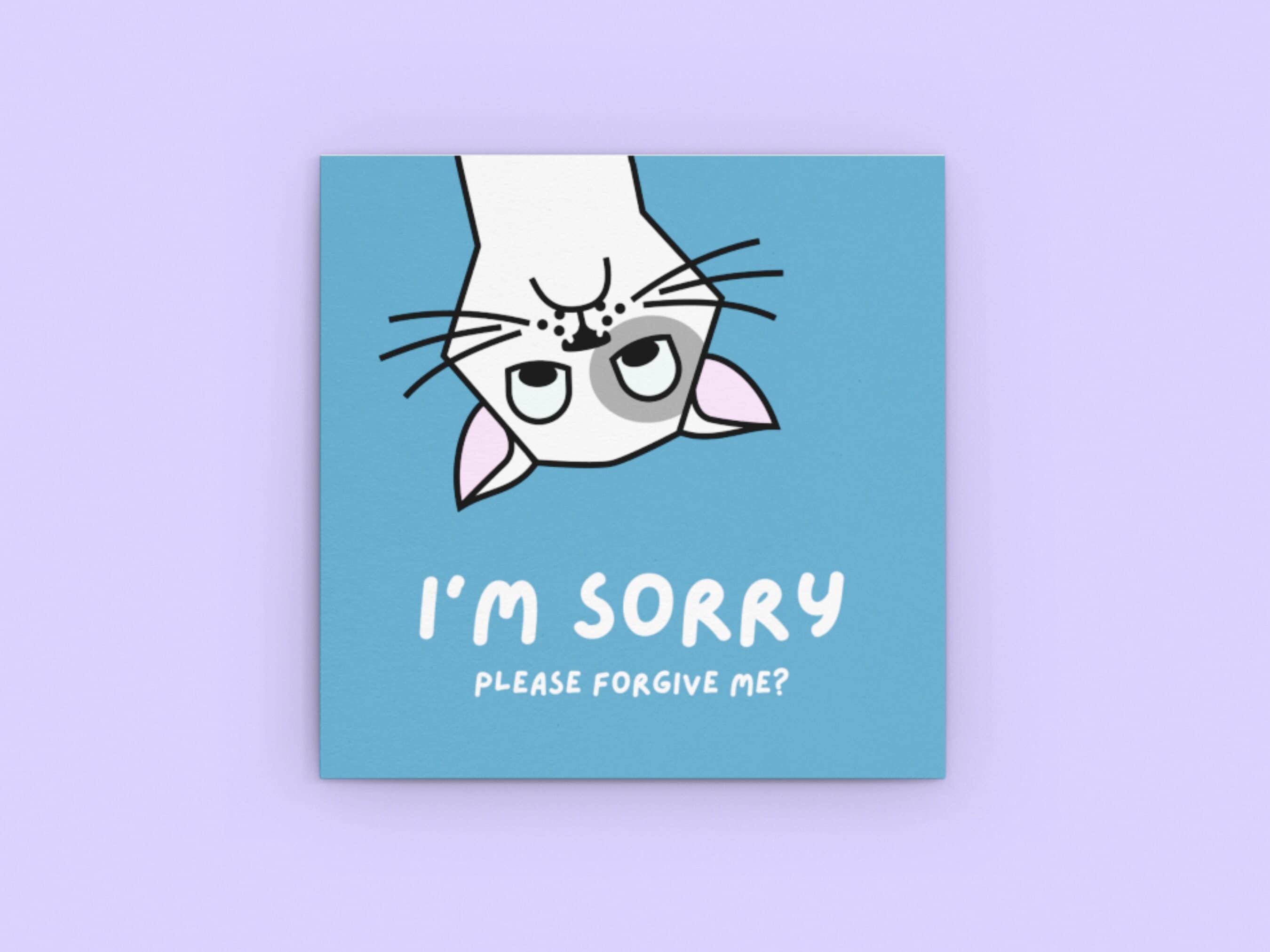 Im Sorry Cat