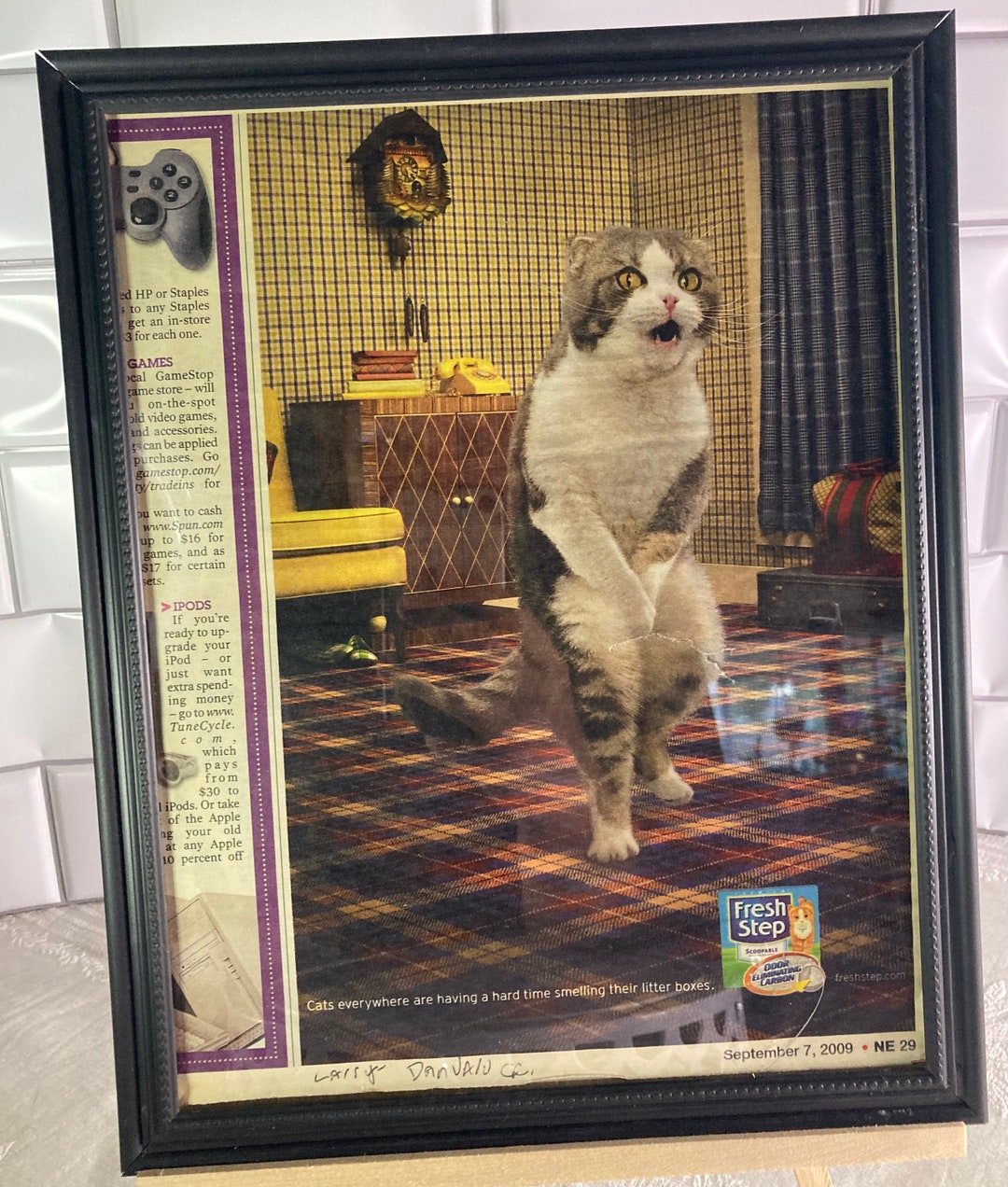 Vintage Fresh Step Cat Litter Magazine Advertisement Funny Cat Poster ...