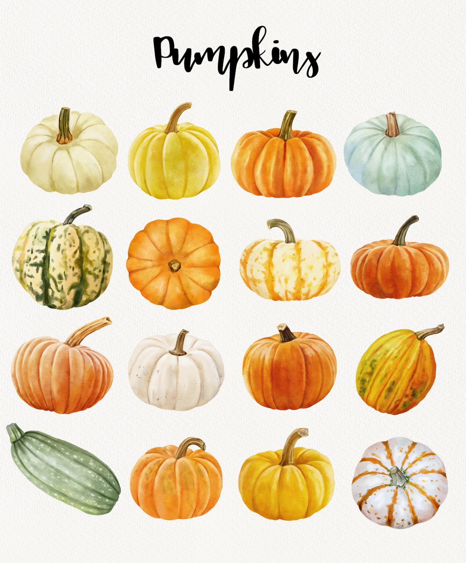 Pumpkin Clipart Watercolor Fall Autumn Clipart Orange and - Etsy